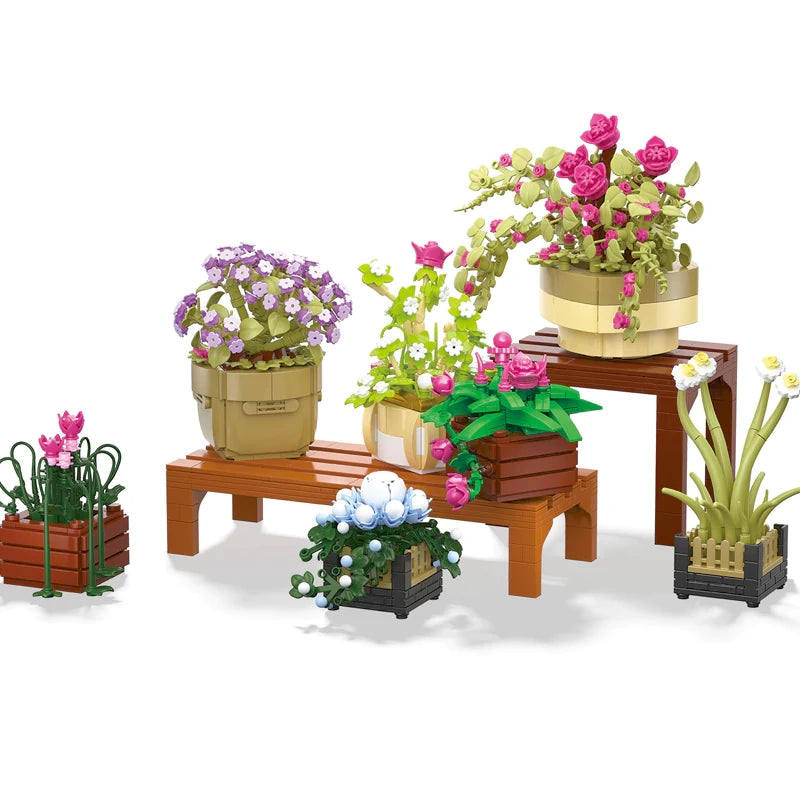 BAKA Cymbidium Saksı Bitkisi – MDY Store